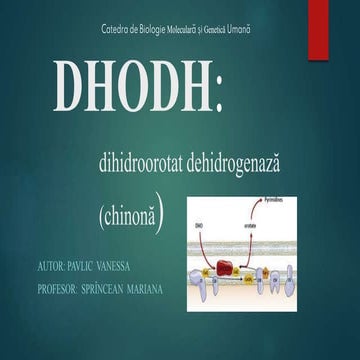 DHODH-6.pptx