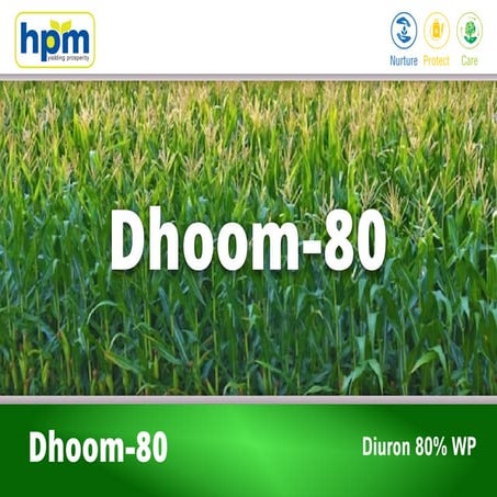 HPM Dhoom-80 (Diuron 80% WP) Presentation | PDF