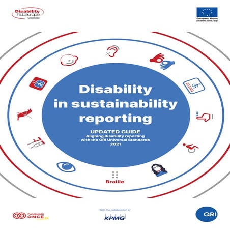 dhub_disability_reporting_guide.pdf