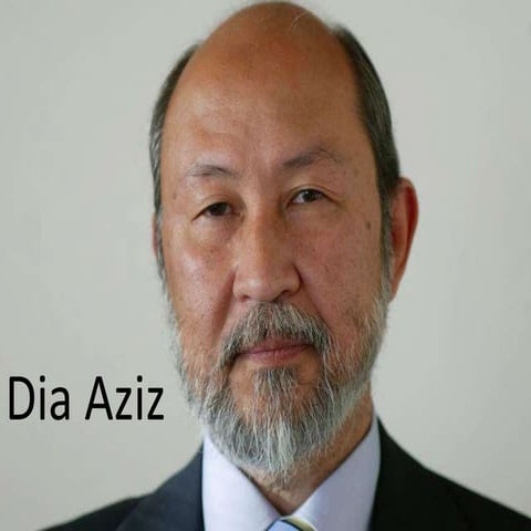 Dia Aziz : The Artist who Designed the Gate of Makkah | PPTX