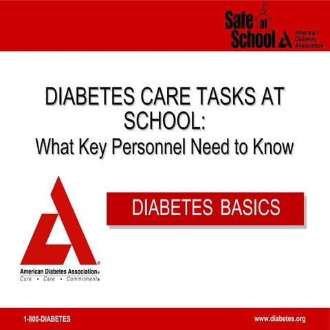 Diabetes Basics | PPT
