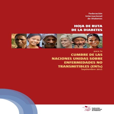 Diabetes roadmap-es | PDF