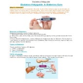 Diabetes Helpguide & Cure