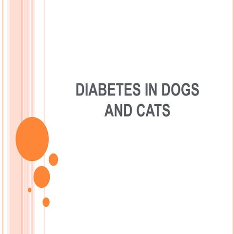 DIABETES IN DOGS AND CATS a brief approach | PPTX