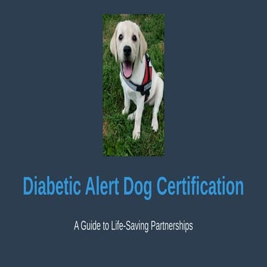 Diabetic Alert Dog Certification A Guide to Life-Saving Partnerships. | PDF