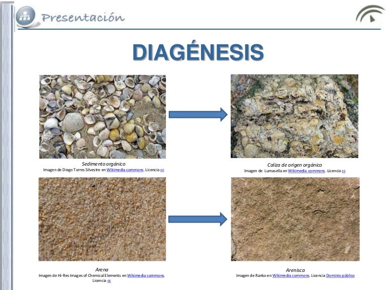 Diagenesis