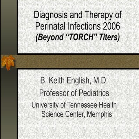 Diagnosis And Therapy Of Perinatal Infection | PPT