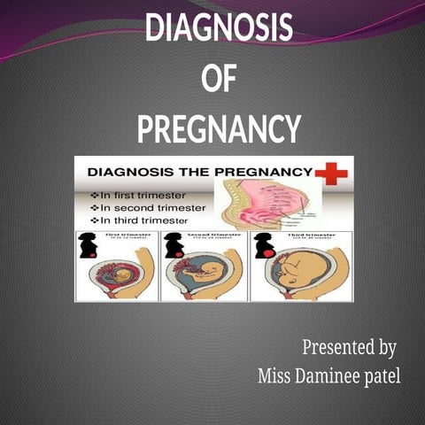 DIAGNOSIS OF PREGNANCY PPT IN ALL TRIMESTER | PPTX