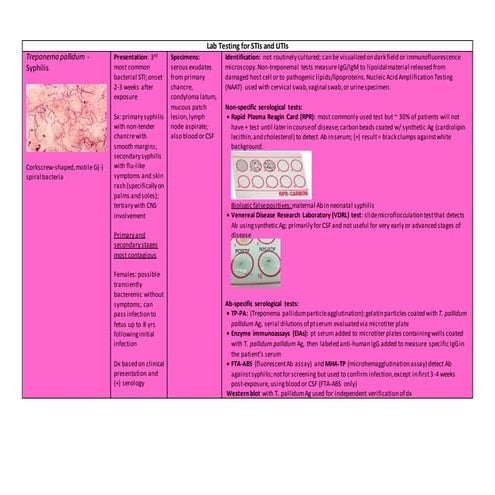 Diagnostic Testing for Bacterial STDs and UTIs | DOCX