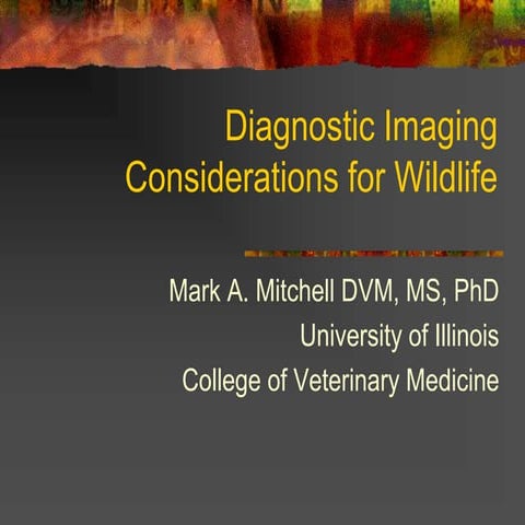 Diagnostic_imaging.ppt