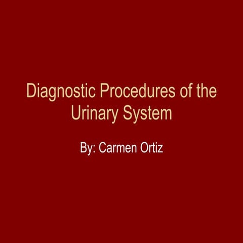 Diagnostic Procedures Of The Urinary System | PPT