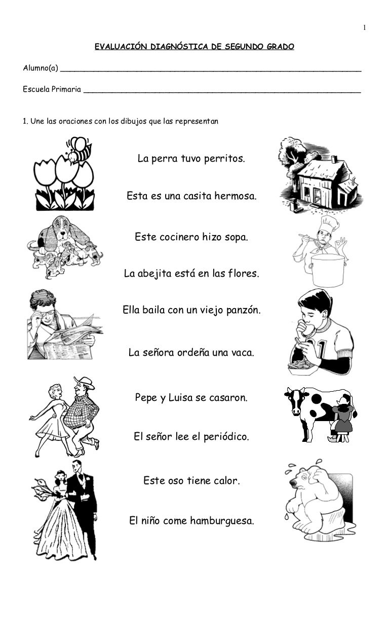 Hojas De Trabajo Sobre Elecciones Para Segundo Grado