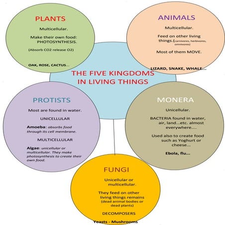 living things: 5 kingdoms | PDF