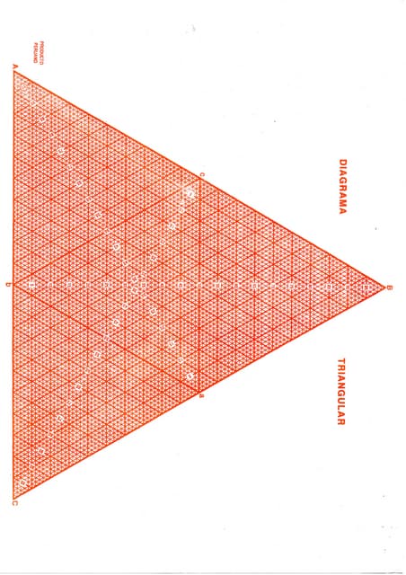 Cyndi Estefani Castillon Jorge presentations