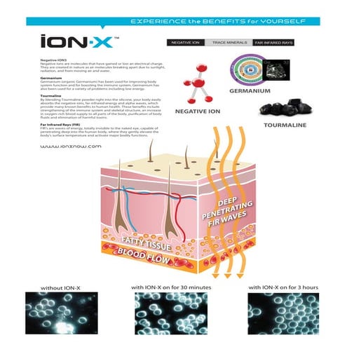 Diagram how it works | PDF