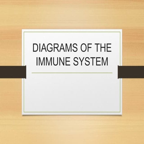 Diagram_of_Immune_systems_.pdf@123456778 | PDF