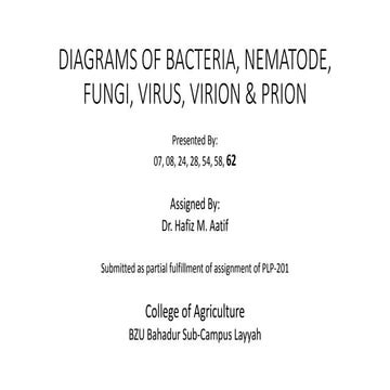 Diagrams of bacteria, nematode, fungi, virus, virion & prion | PPTX