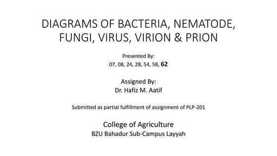 Virus ppt | PPT