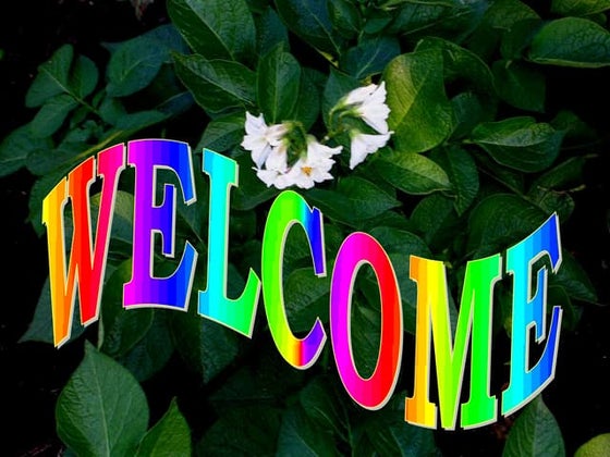 LINE X TESTER ANALYSIS | PPT