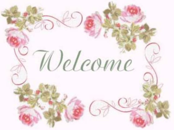 Setora nitens (Neetle Caterpillar) | DOCX