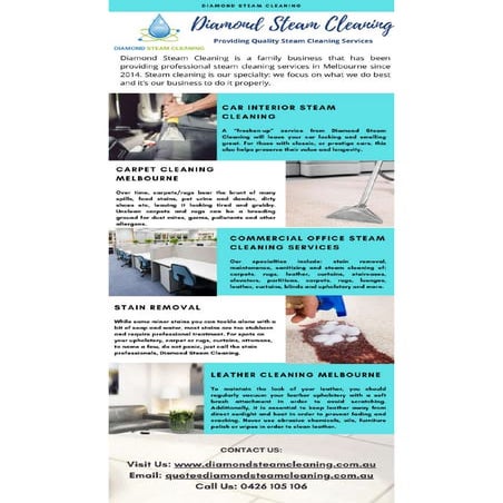 Diamond steam cleaning | PDF