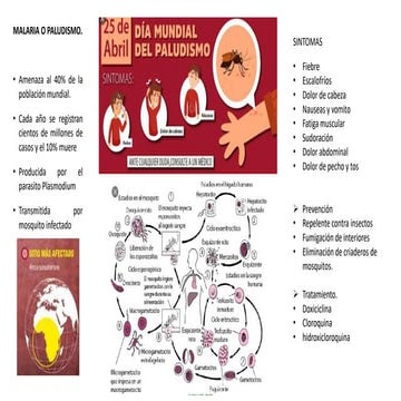 Dia mundial paludismo.pptx