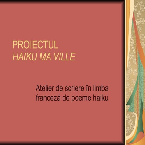 Diana Armanu - BJ Brasov | PPT