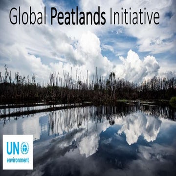 Global Peatlands Map and Hotspot Explanation Atlas | PPTX