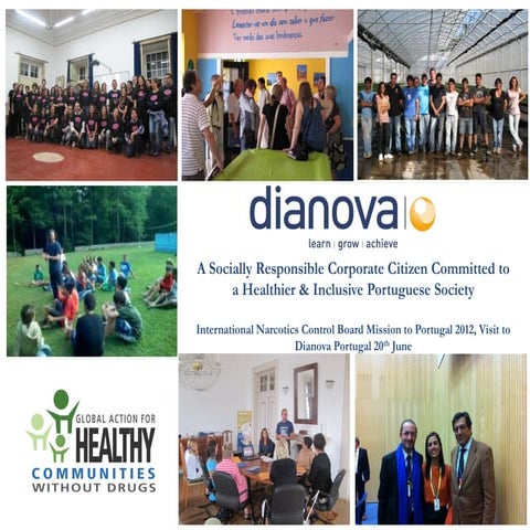 Dianova Corporate Brochure 2019 | PDF