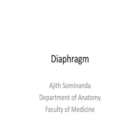 Diaphragm.pptx