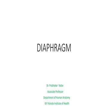 Diaphragm | PPTX