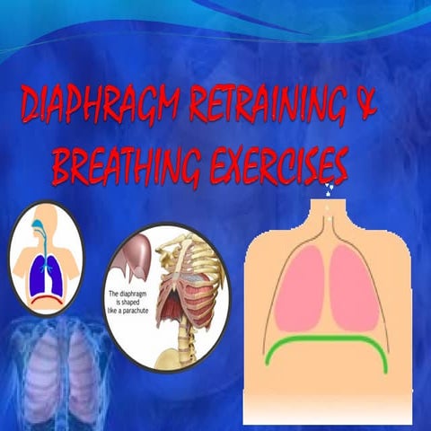 Diaphragm retraining & breathing exercises [recovered] | PPT
