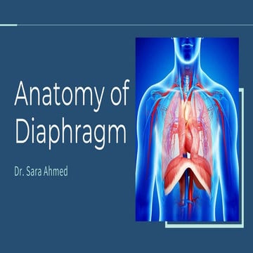 Anatomy of The Diaphragm | PPTX