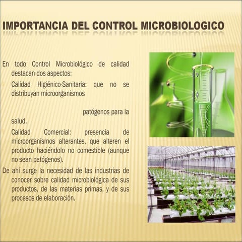 8 rm 461_2007_superficies | PDF