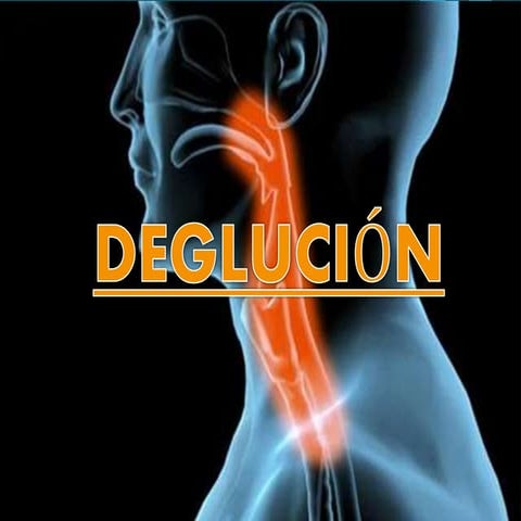 Deglución | PPT