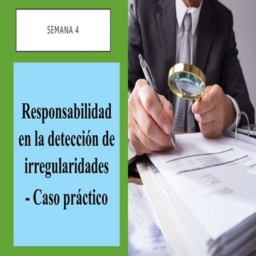 responsabilidad en a detección de irregularidades.pptx