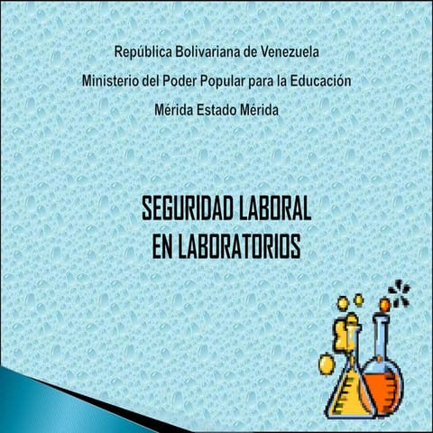 Seguridad en el laboratorio de química | PPTX