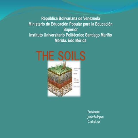 LOS SUELOS | PPT