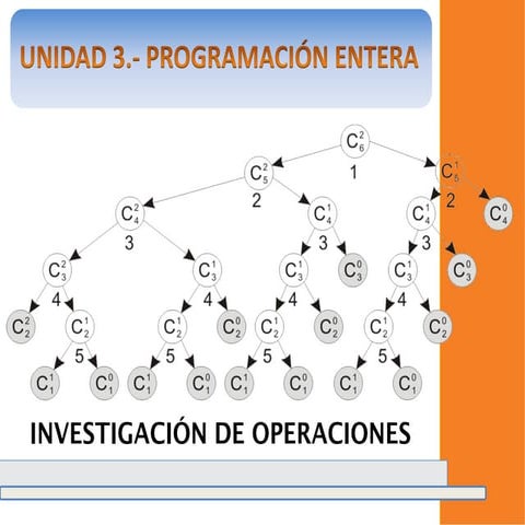 Diapositivas de Programación entera en la IO.pdf