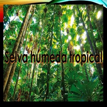 La selva tropical | PPTX