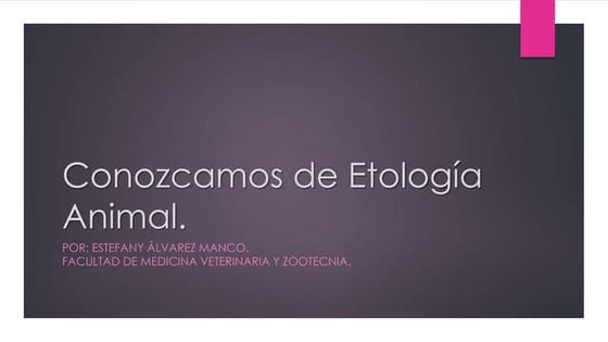 Ratas en el laberinto | PDF