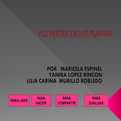 Diapositiva partes de la planta | PPTX