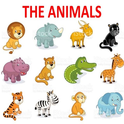 Wild Animals | PDF