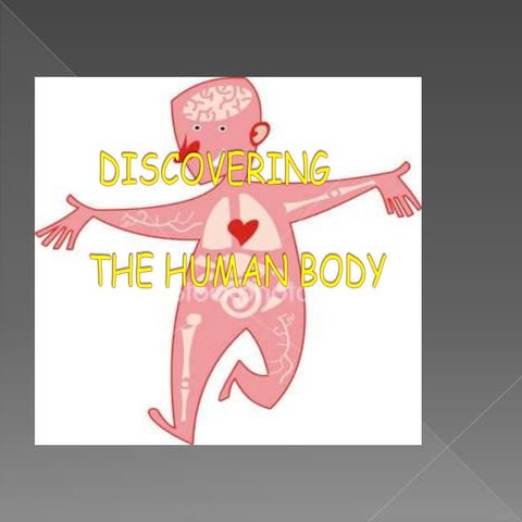 My body | PPT