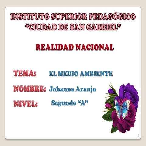 EL MEDIO AMBIENTE | PPTX