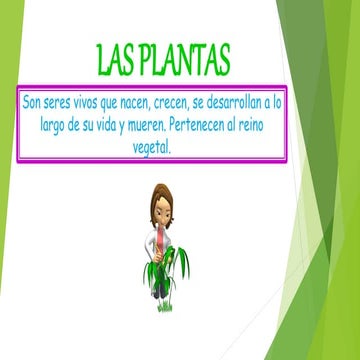 La planta jessica bueno 12º | PPTX