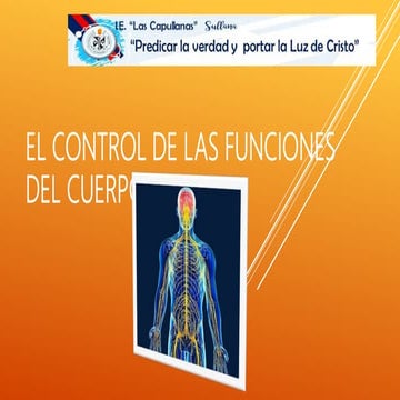 El control de las funciones del cuerpo 6to A-B-C-D (3).pptx