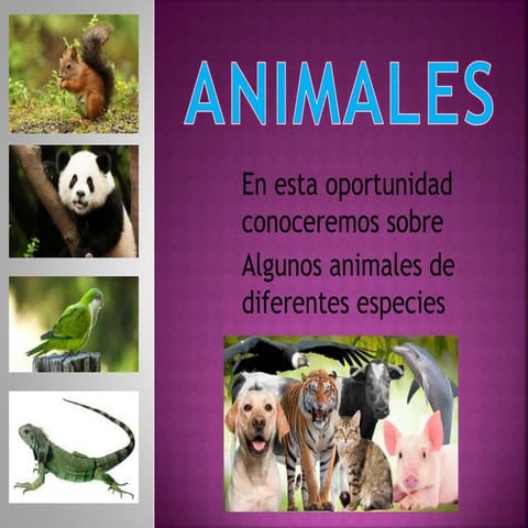 Diapositivas animales | PPTX