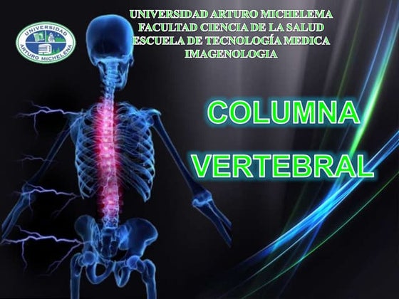 Profile 2022 - Dr. [Prof.] Anthony Rippon | PDF