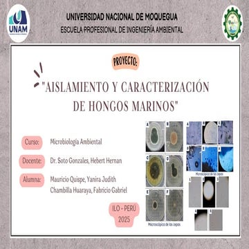 Diapositivas de Hongos marinos macroscópico y microscópica.pdf